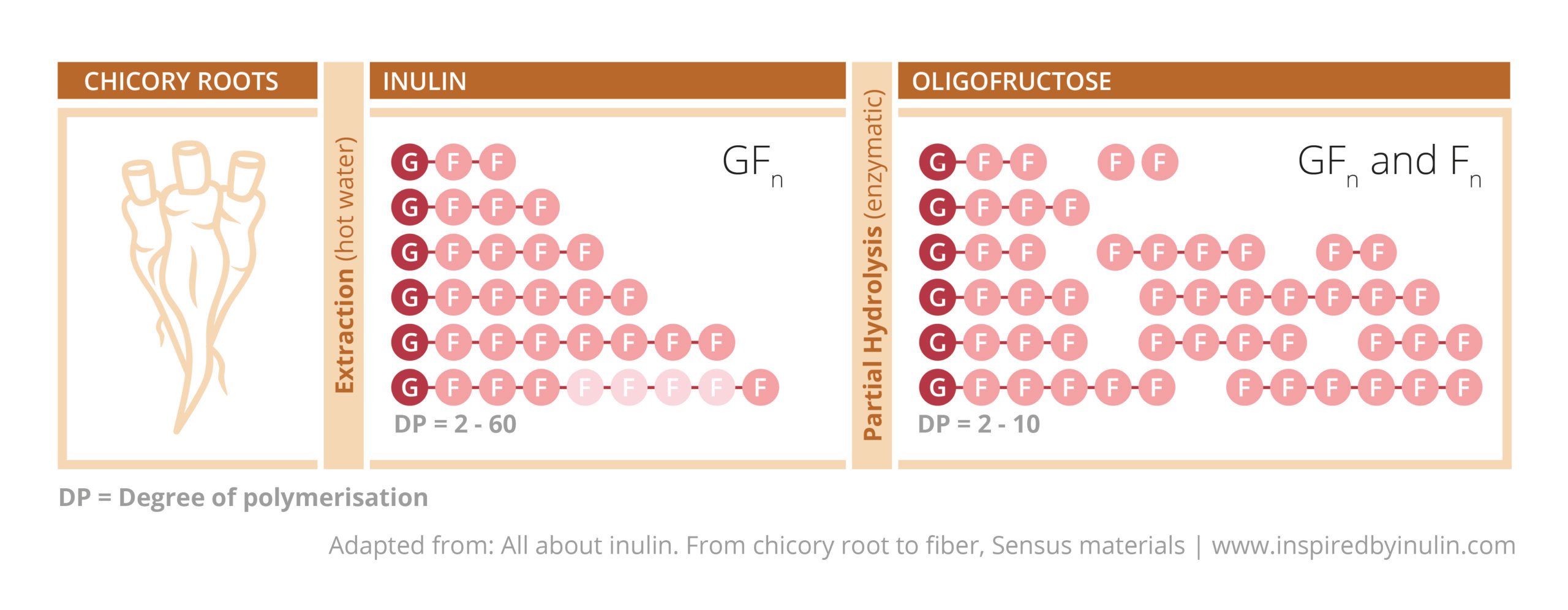 Inulin: a healthy and nutritional ingredient for use in pastry - Jordi ...